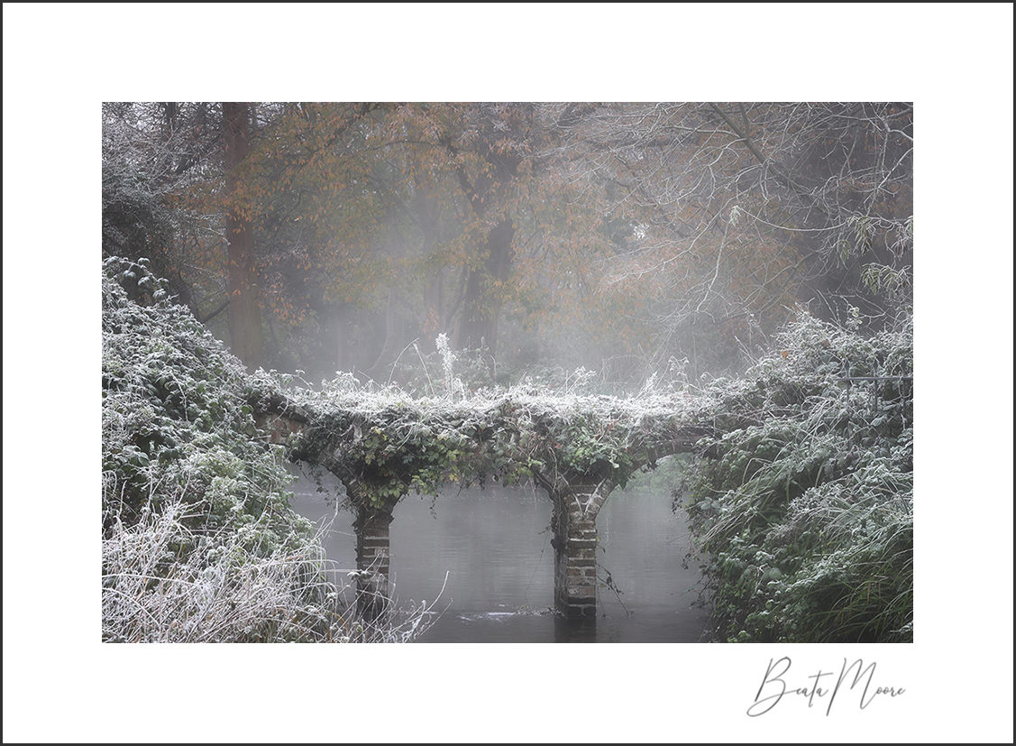 What Have You Done - Beata Moore PHOTOGRAPHY